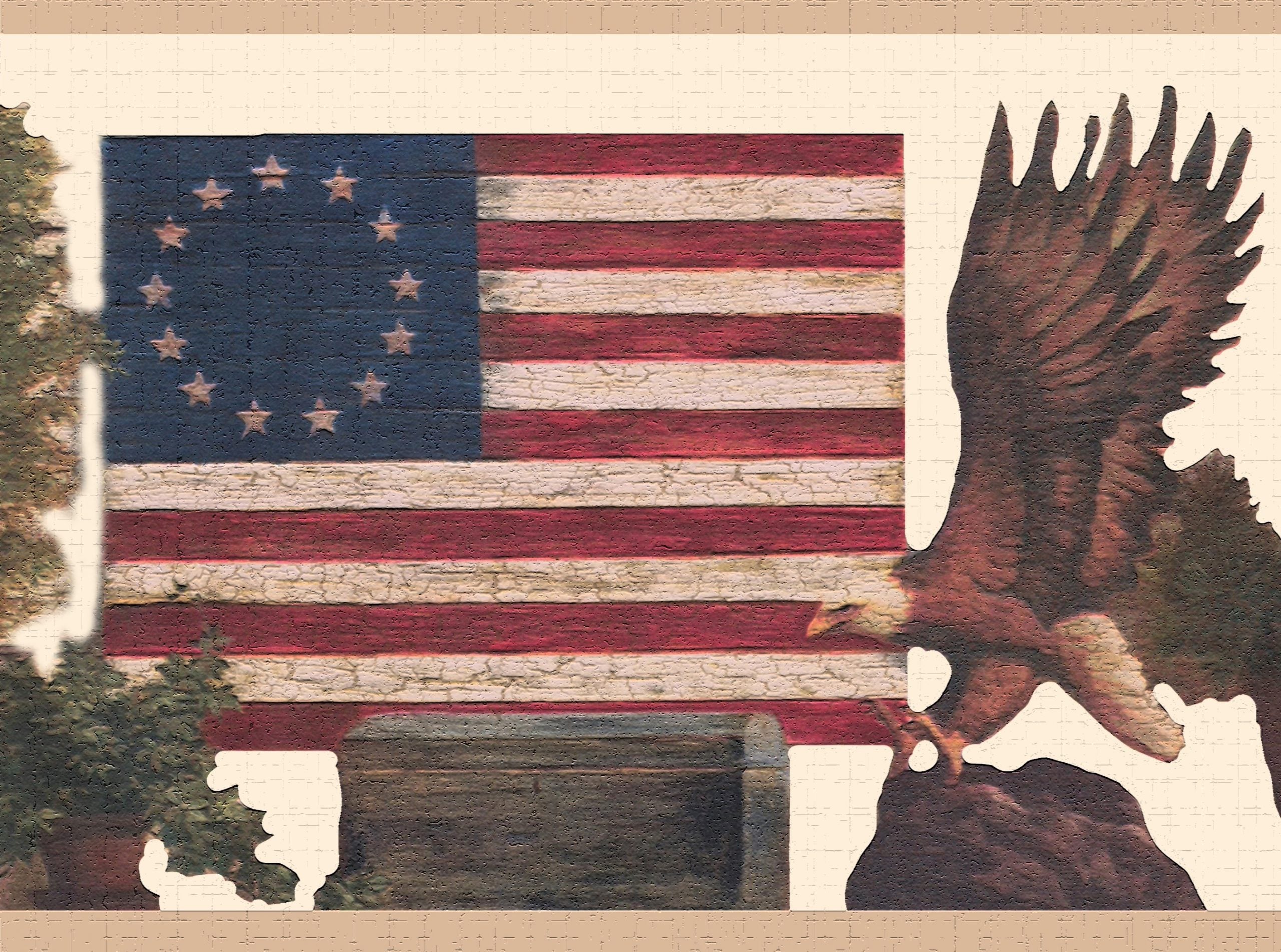 Peel and Stick Wallpaper Border - Abstract Blue Red Brown Eagles and F