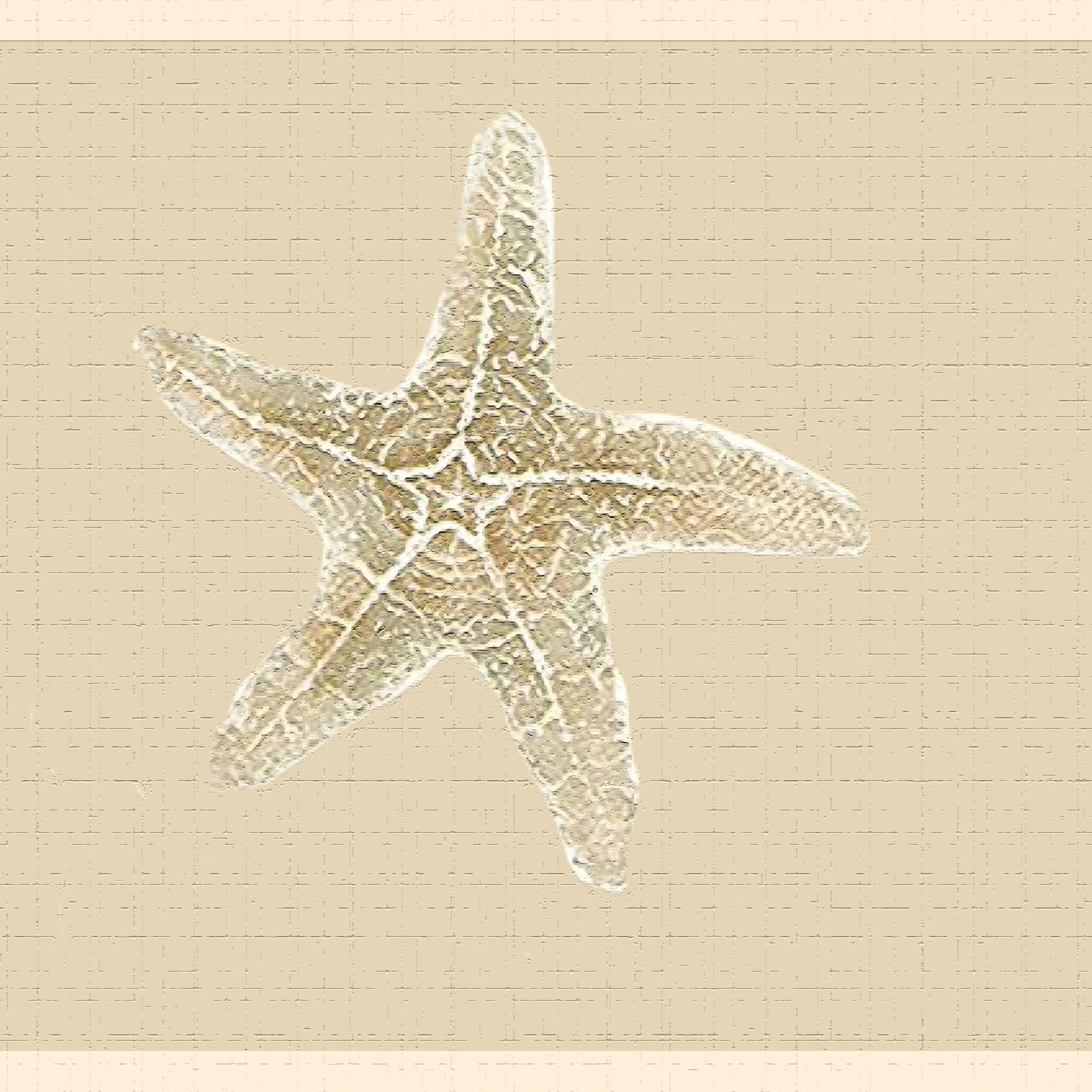Peel and Stick Wallpaper Border - Nautical Cream Beige Seahorse Shells